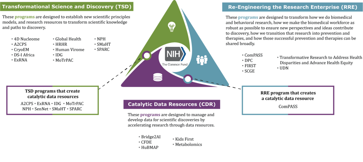 Who We Are & What We Do | NIH Common Fund